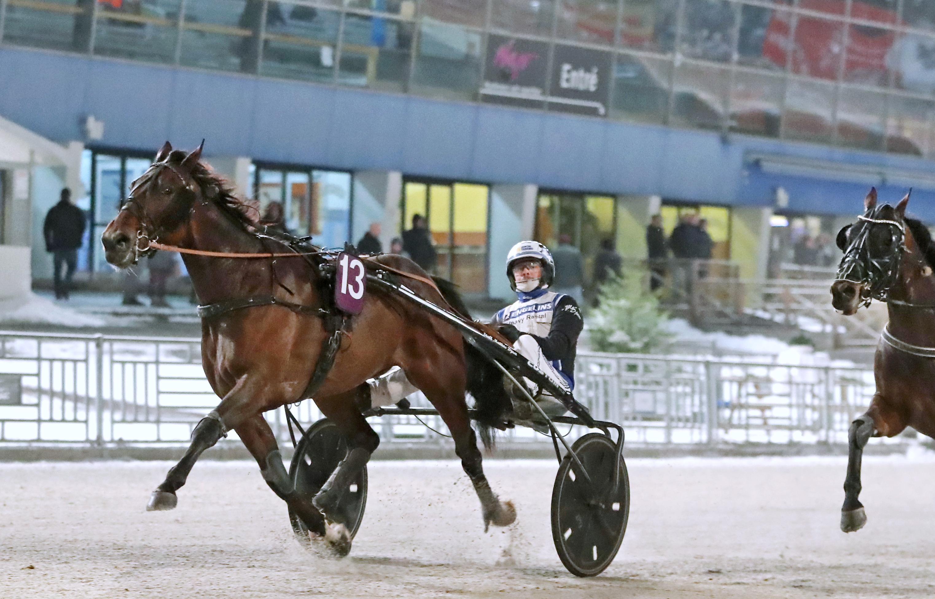 Inför V75®: Djuses segermaskin favoriten att slå | ATG