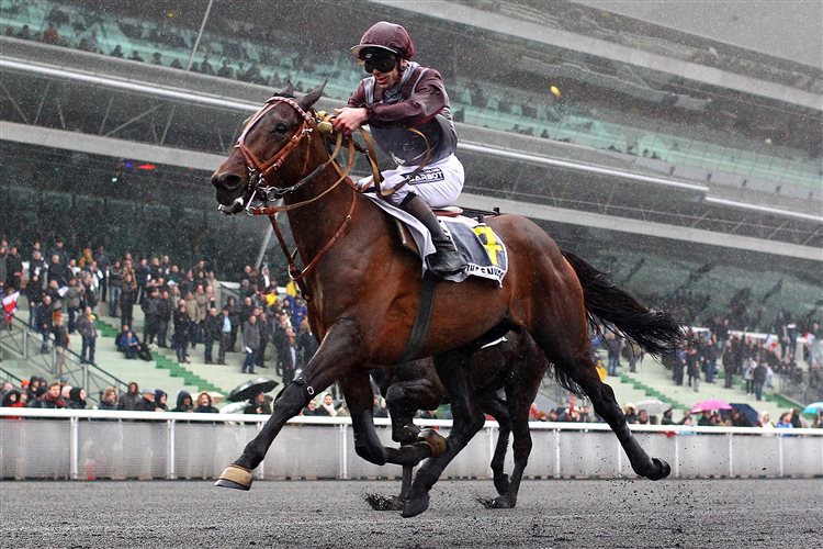 Traders skrev montéhistoria | ATG