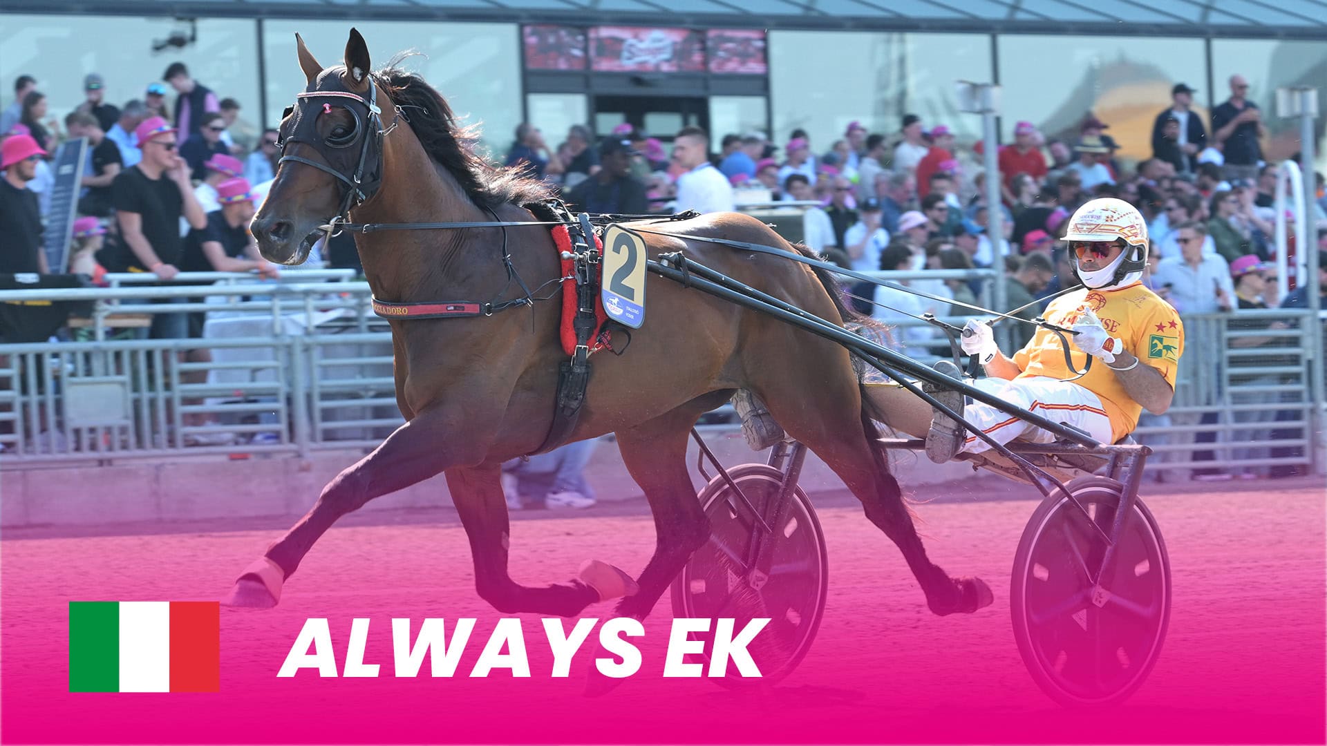 Se veckans Jackpots | ATG | ATG