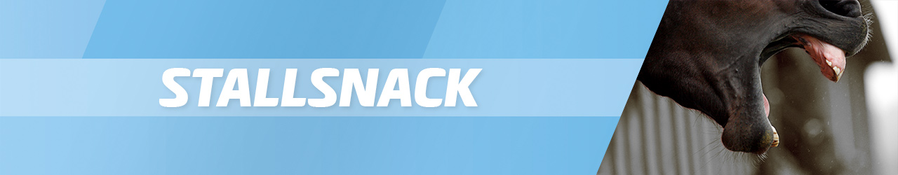 Stallsnack V4® Vincennes | ATG