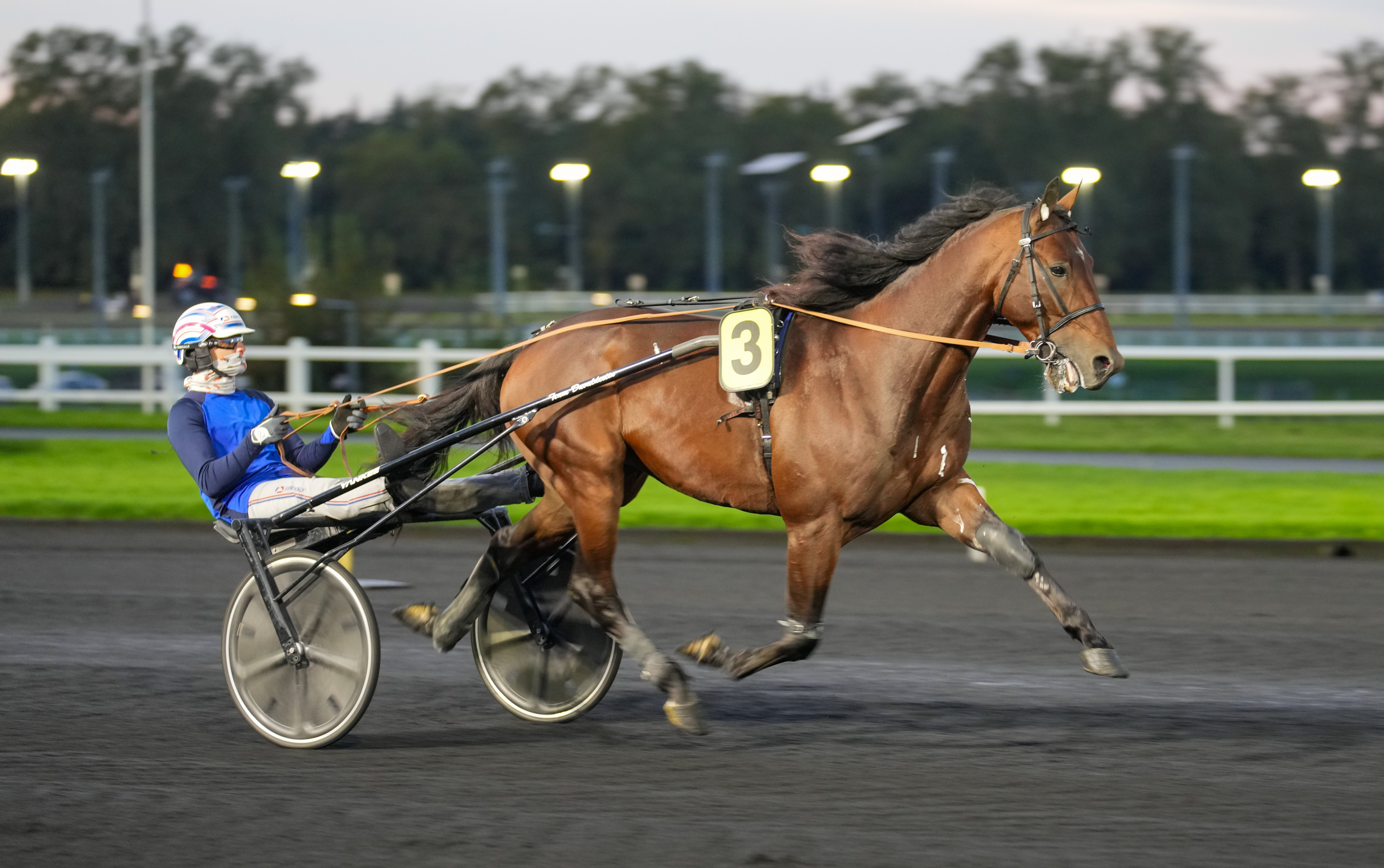 Idao de Tillard missar Prix d'Amerique | ATG