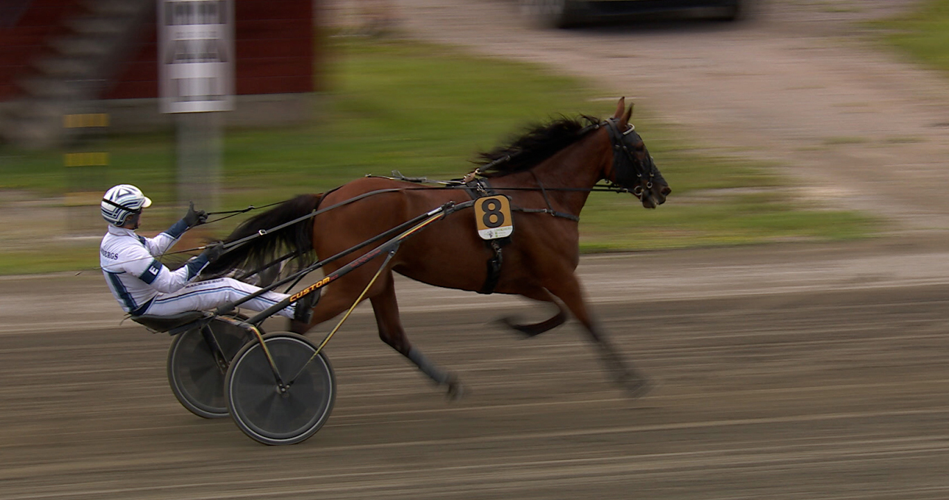 GS75®: Staro Raili märkligt bortglömd i Breeders' Crown | ATG