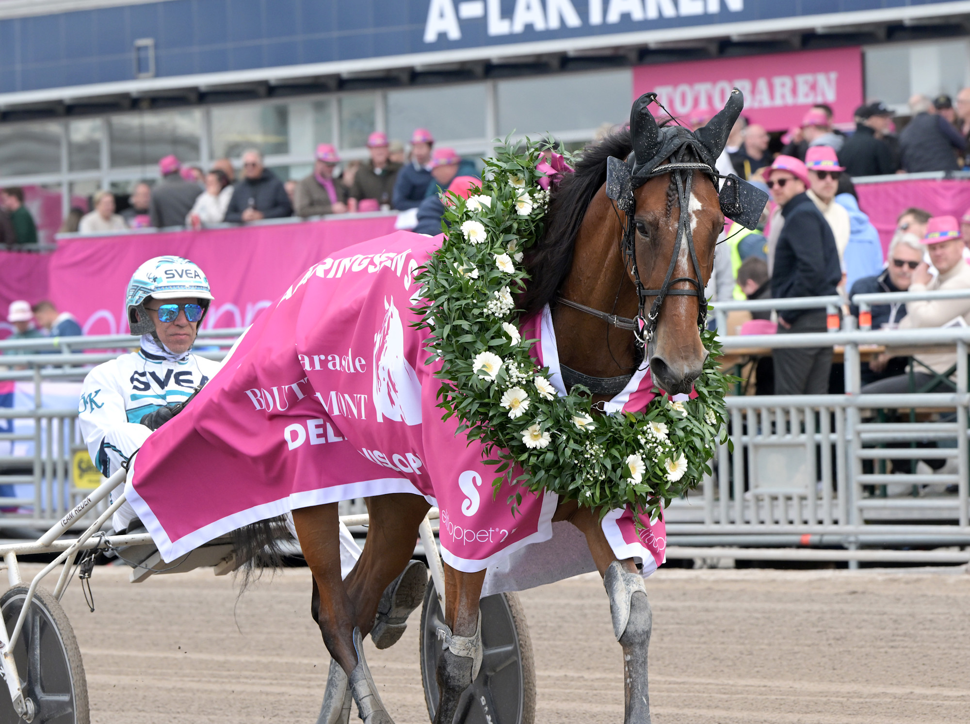 Inför V86®: Formstall med toppchanser | ATG