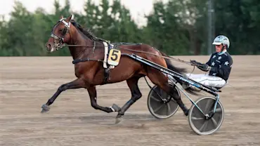 Succé för Power Doc på Vincennes | ATG