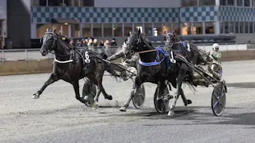V86®: Dött lopp efter stenhård duell | ATG