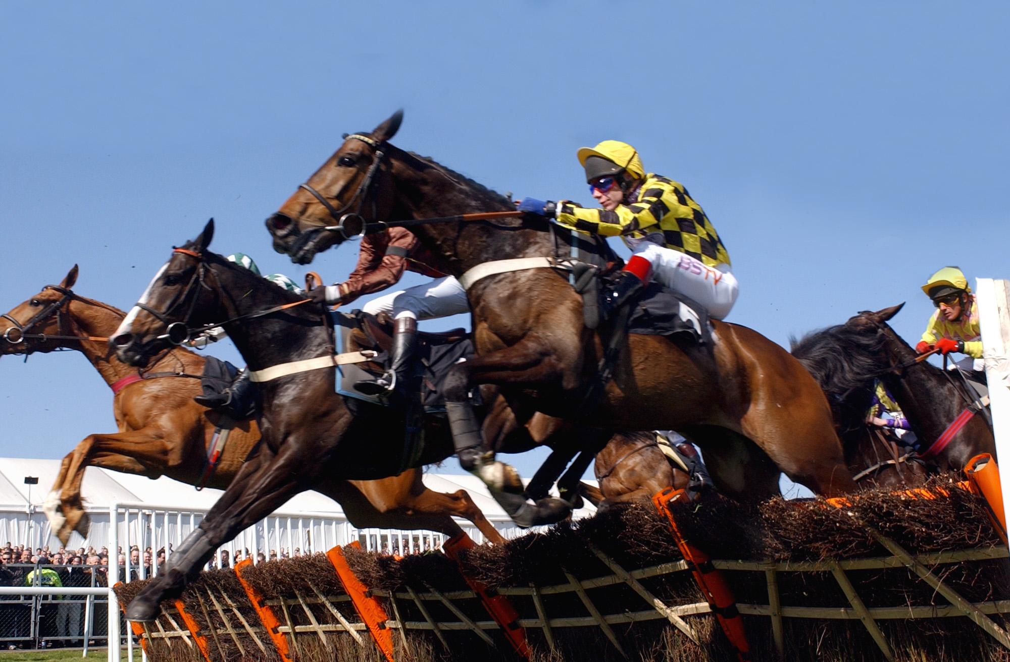 Triumf för Mullins när Nick Rockett skrällde i Grand National | ATG