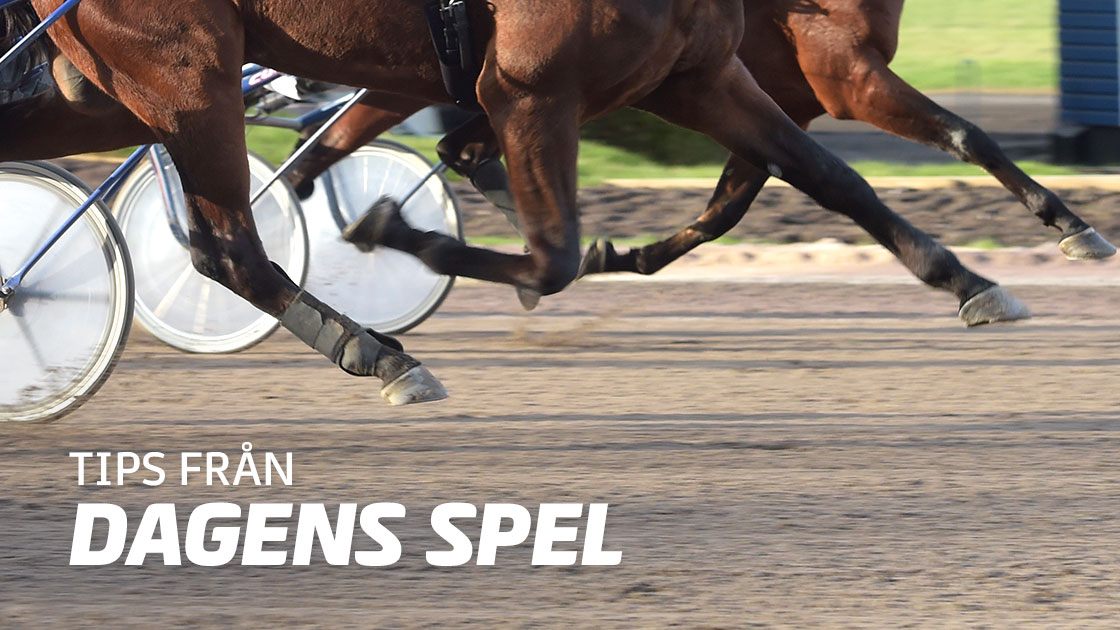 Se veckans Jackpots | ATG | ATG