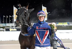 Stallsnack V4® Romme | ATG