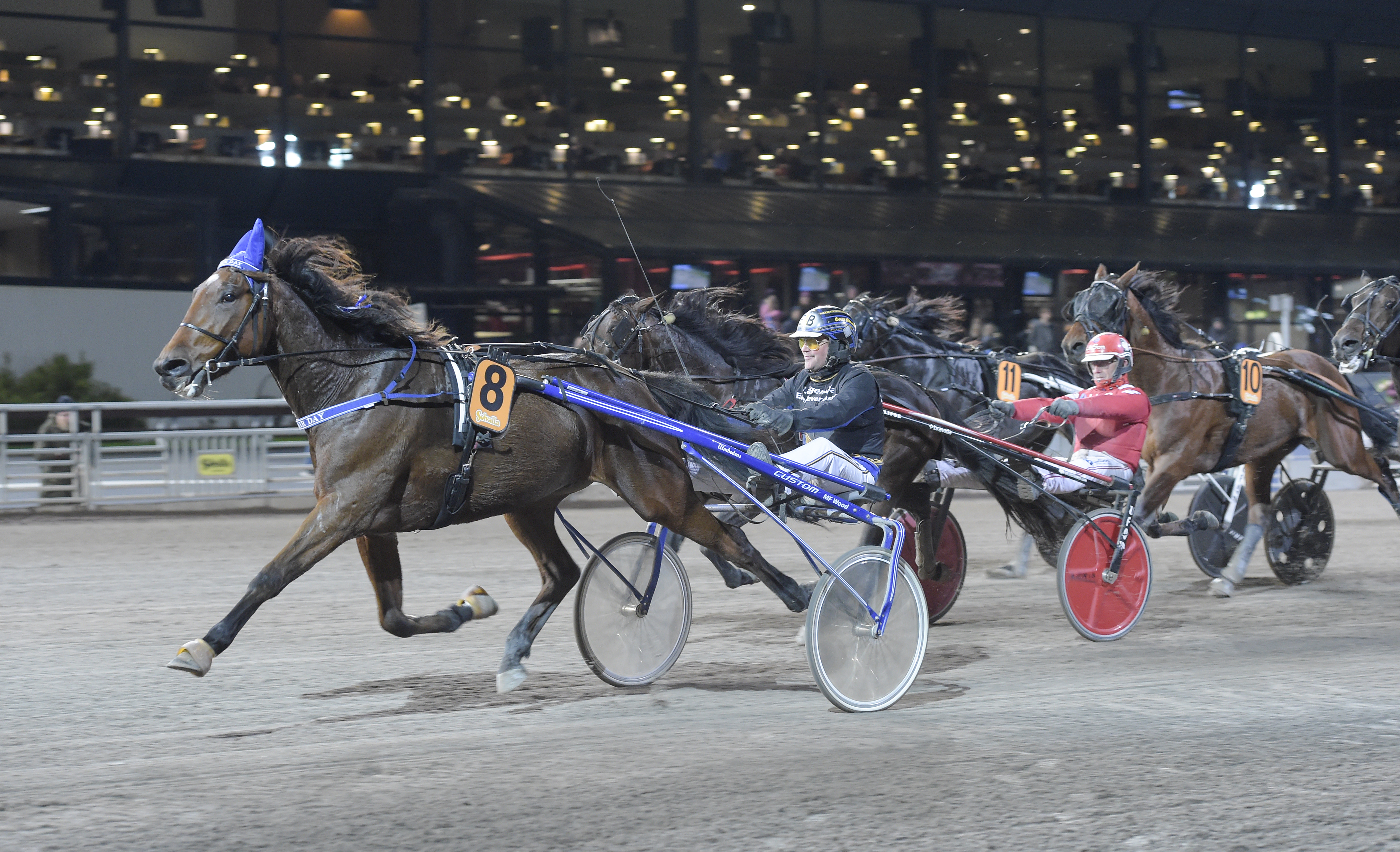 Inför V75® (jackpot): ”Jag har aldrig känt botten i honom” | ATG