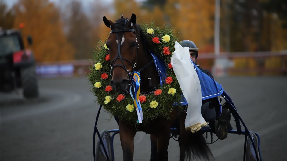 V75®: Galopperade bort alla chanser – vann ändå | ATG