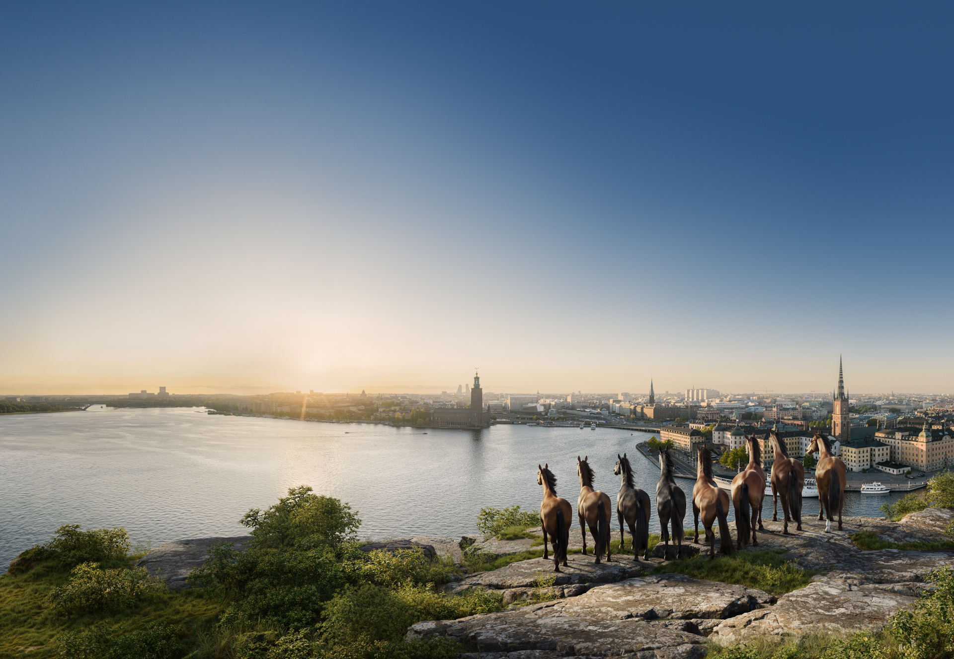 Premiär för V85® – Sveriges nya stora miljonspel på trav | ATG