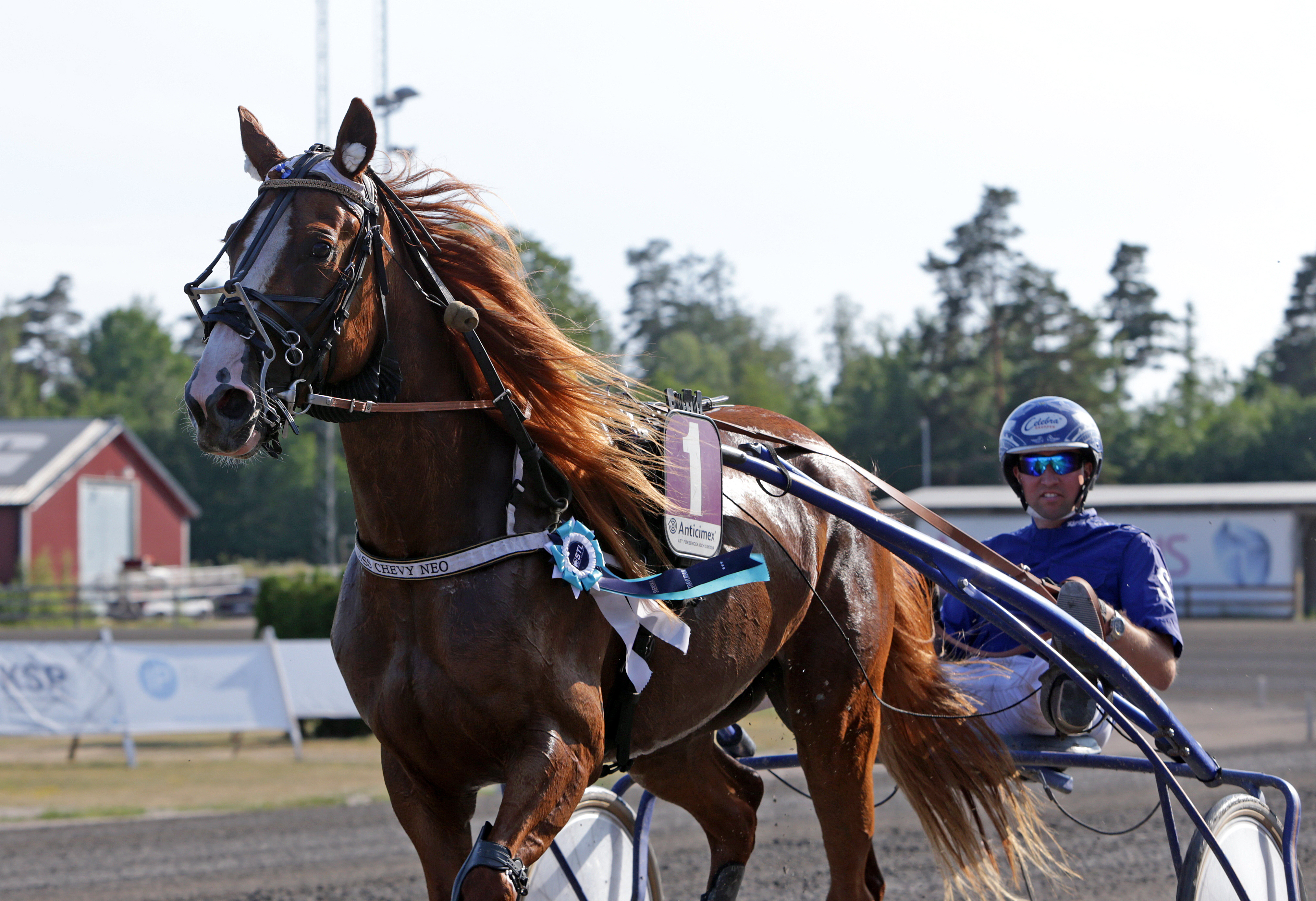 Inför V4® Bergsåker: Mjukar upp V75-vinnaren med rygglopp | ATG