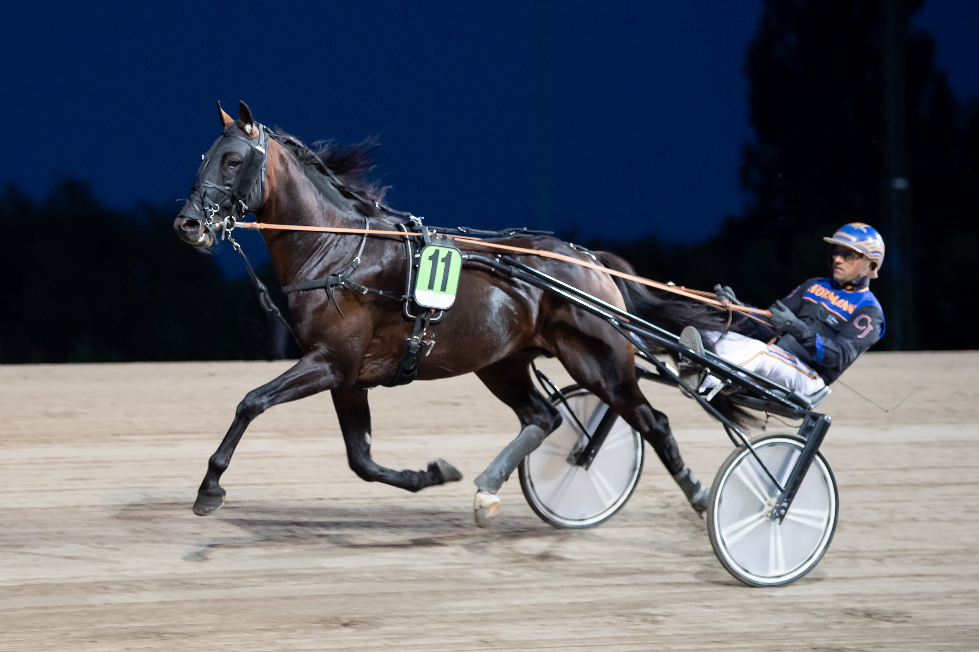 V64®: Bländande uppvisning av Pingis i årsdebuten – ”En fantastisk häst ...