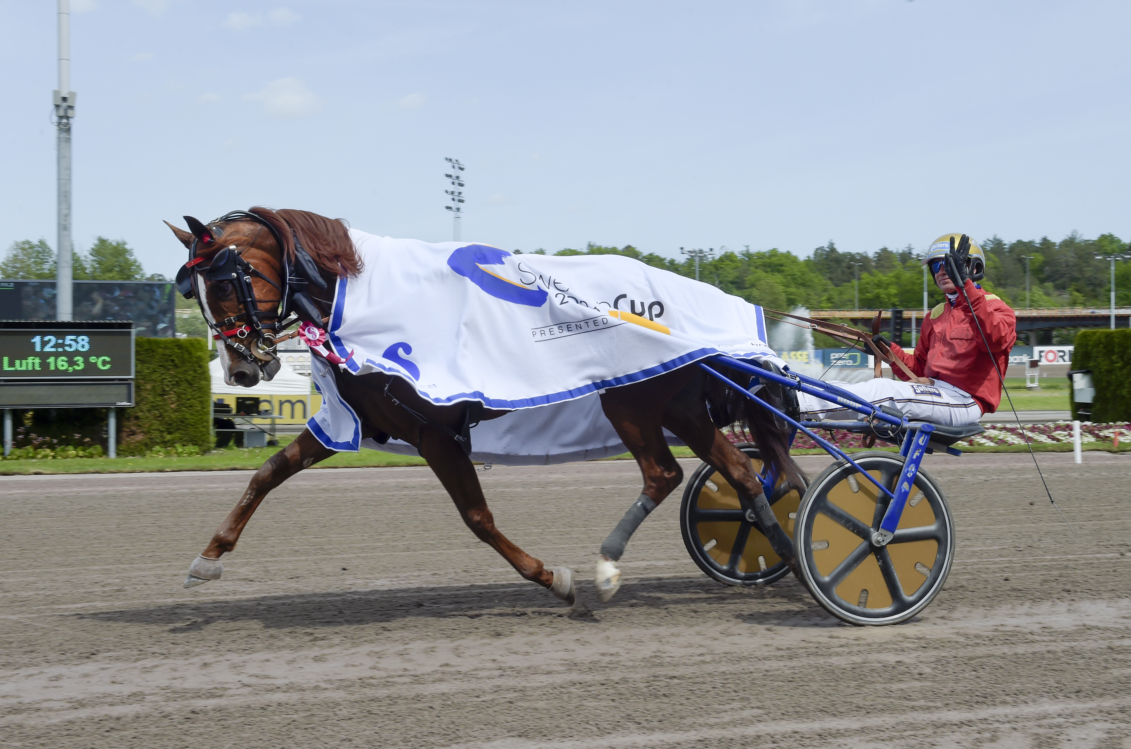Nytt andrapris för tapper Invictus | ATG