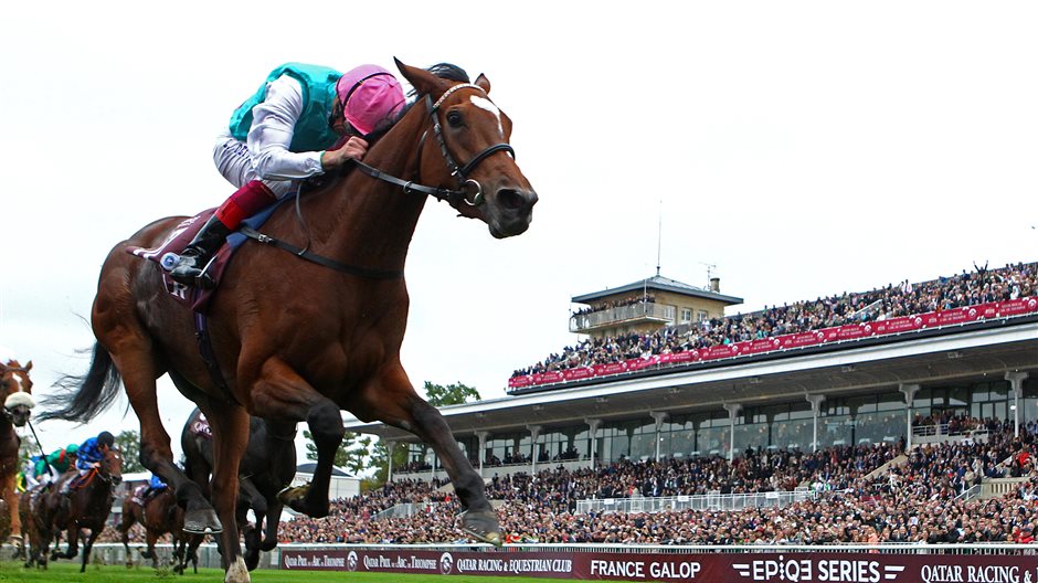 Enable lekte hem 24 miljoner i ”Arcen” | ATG