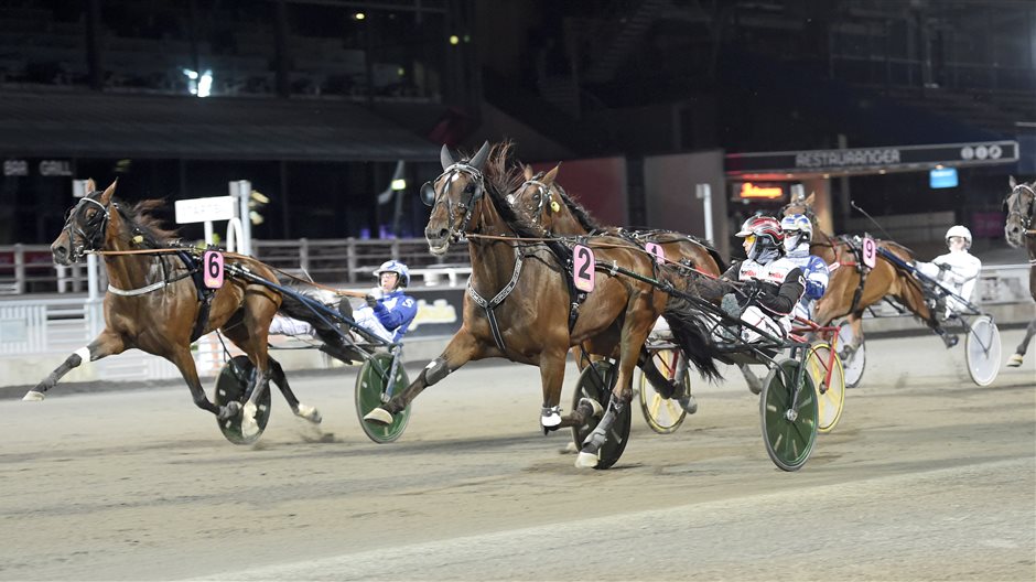 V86®: Hevin hann undan för tio toppmärrar | ATG