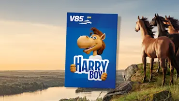 Spontan Harry Boy® med Boost® gav Norrköpingsbo 416 000 kronor: ”En ...