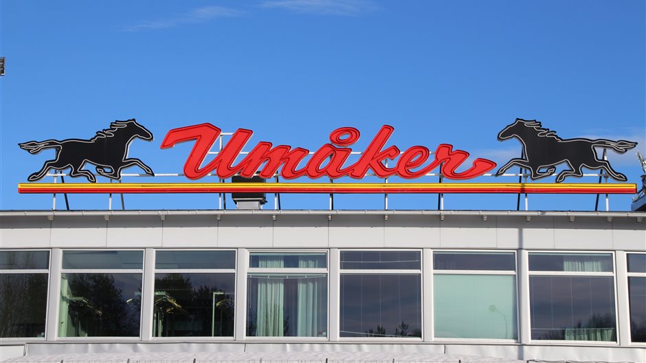 V75® statistik: Genomgång inför jättejackpoten | ATG