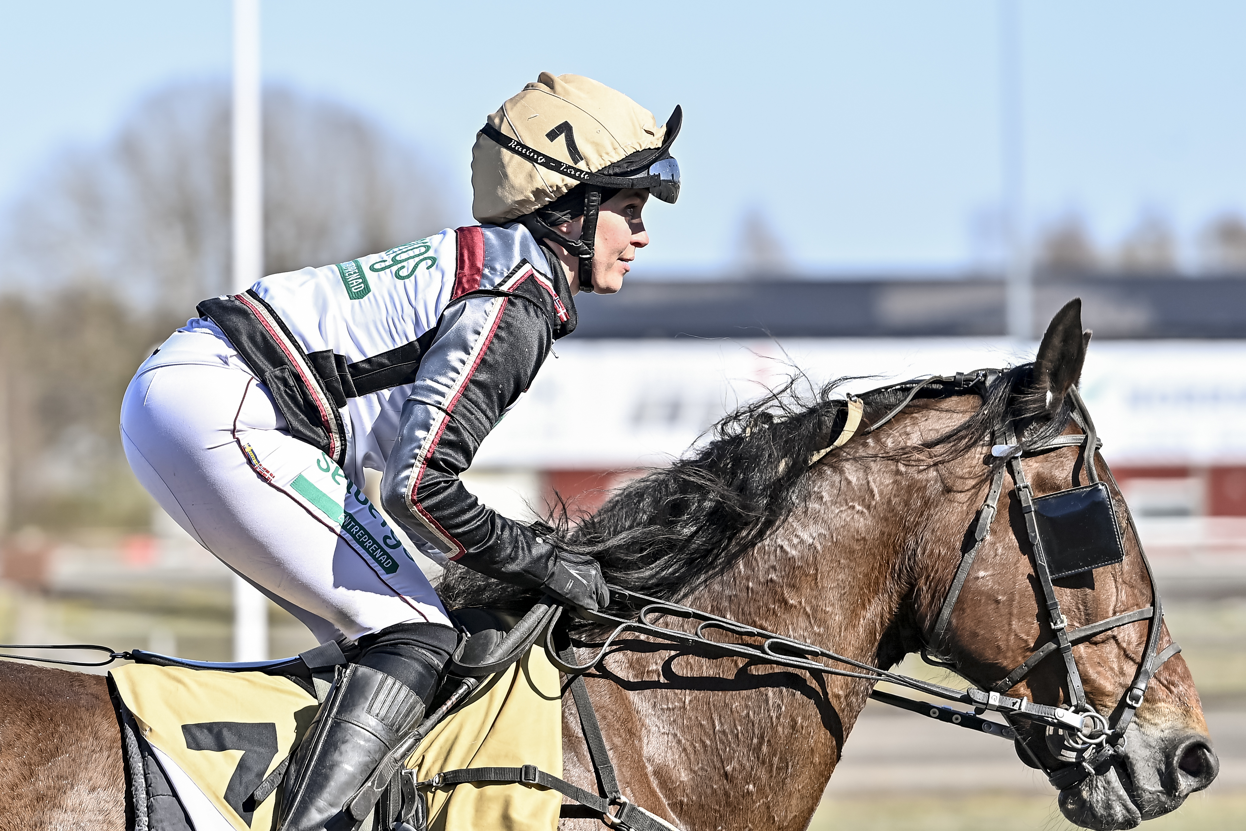 Stallsnack V4®/V5® Bergsåker | ATG