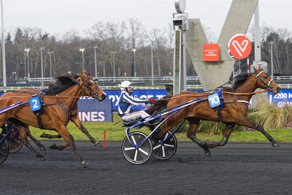Franske stjärnan Horsy Dream mot Elitloppet? | ATG