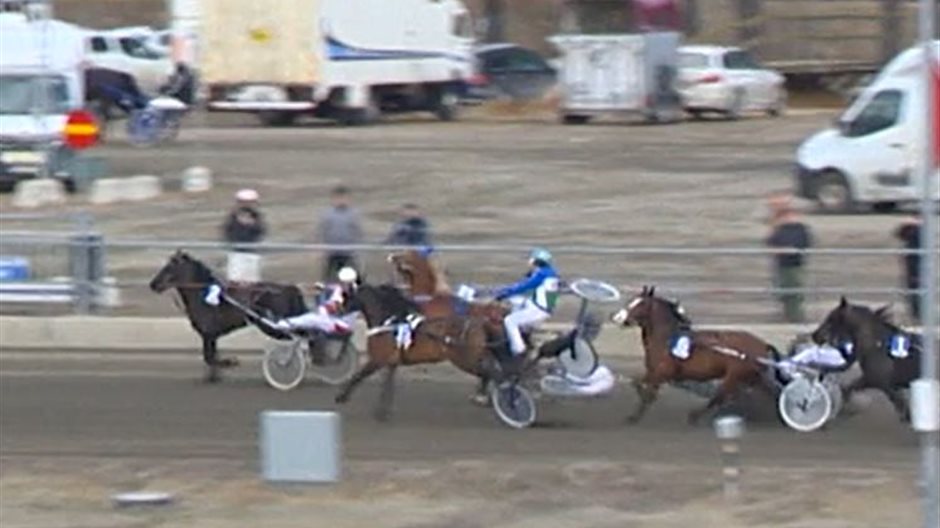 Sju kuskar i backen efter olycka | ATG