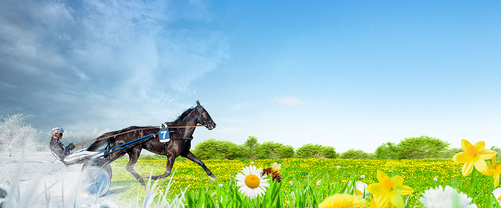 Se veckans Jackpots | ATG | ATG