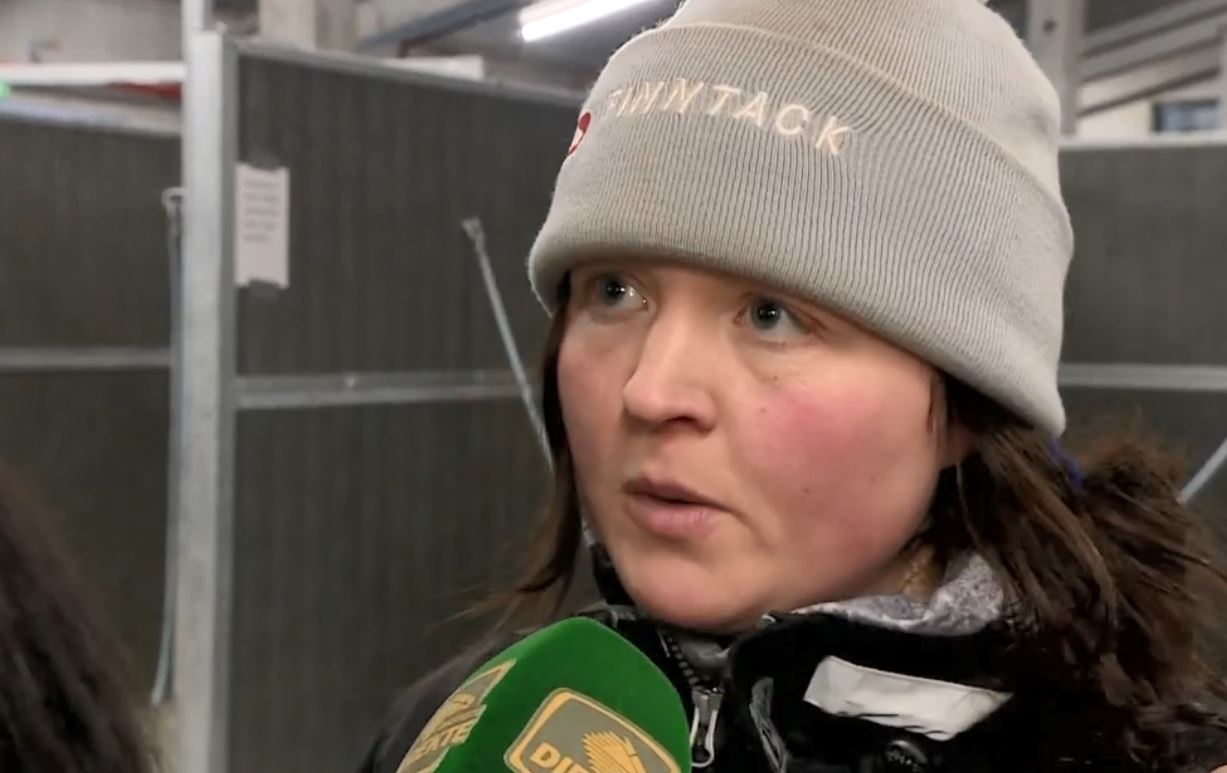 Stallsnack V4® / V5® Oviken | ATG