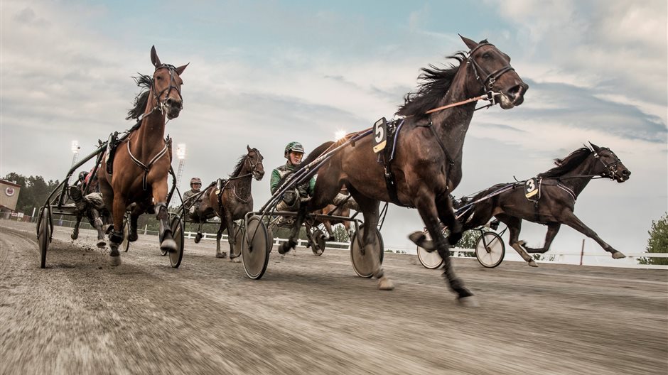 Nytt miljonregn av Harry Boy på V85® | ATG