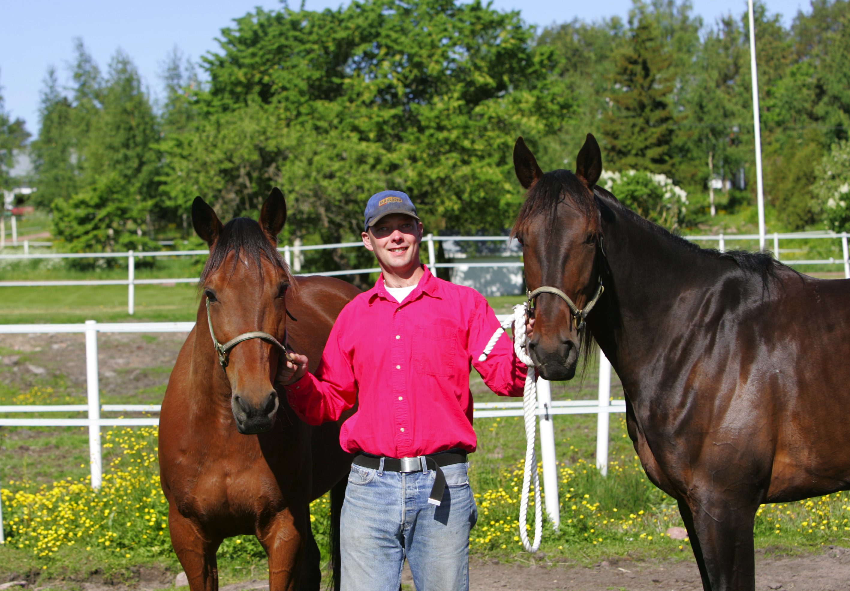 Stallsnack V4® & V5® Örebro | ATG