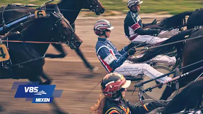 Spela V85 – Startlista, tips och alla sätt att spela | ATG | ATG