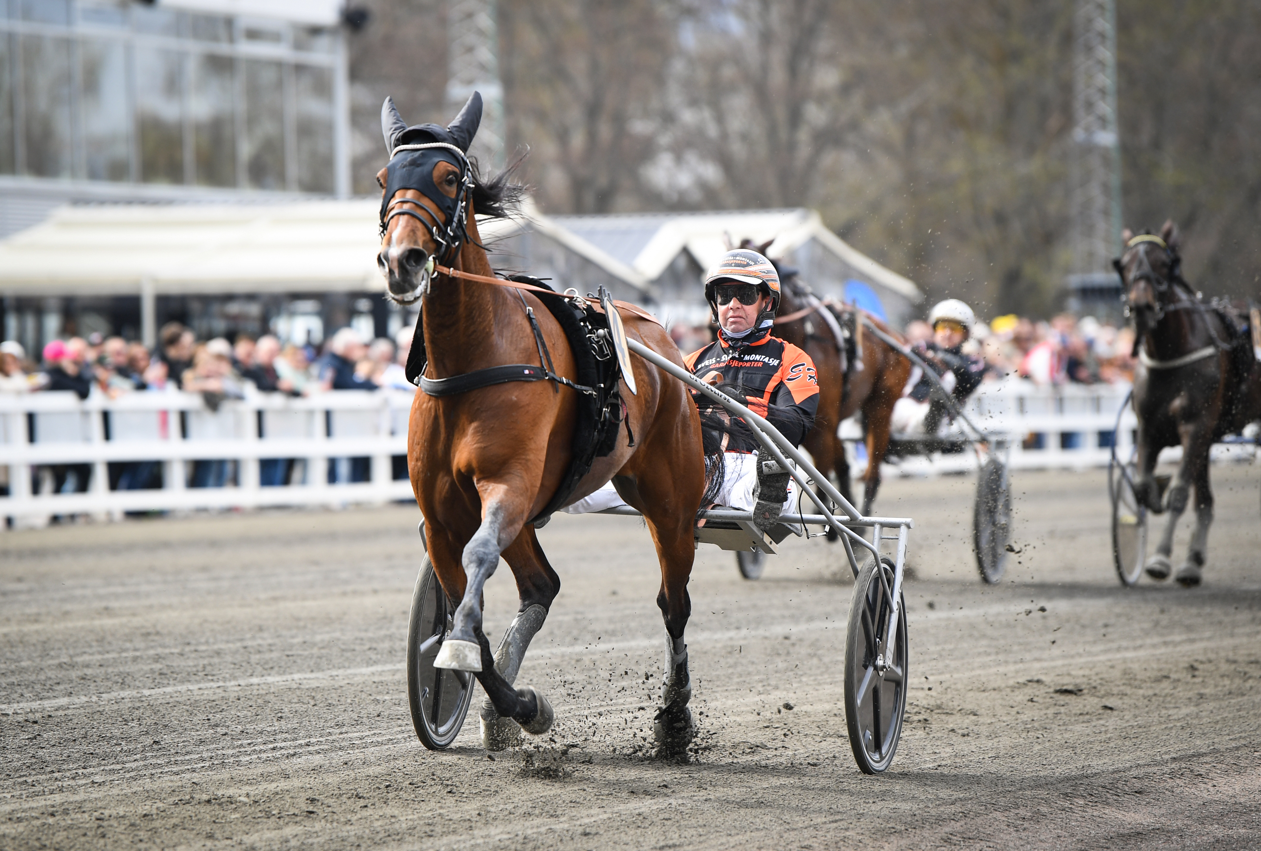 Daim Brodda tar plats i Paralympiatravet | ATG
