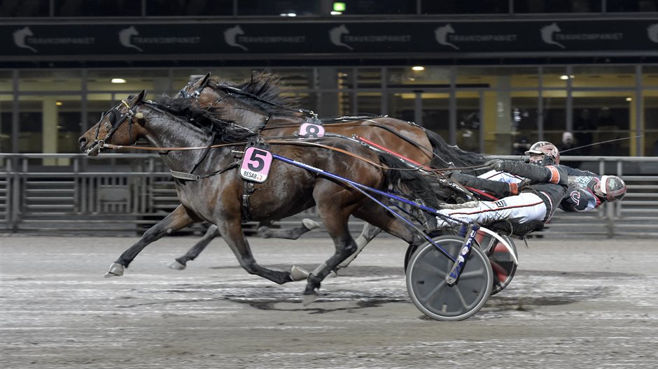 Inför V75®: Ländins stjärna har blivit en travmaskin | ATG