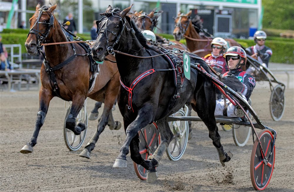 Guzz Mearas slog till direkt | ATG