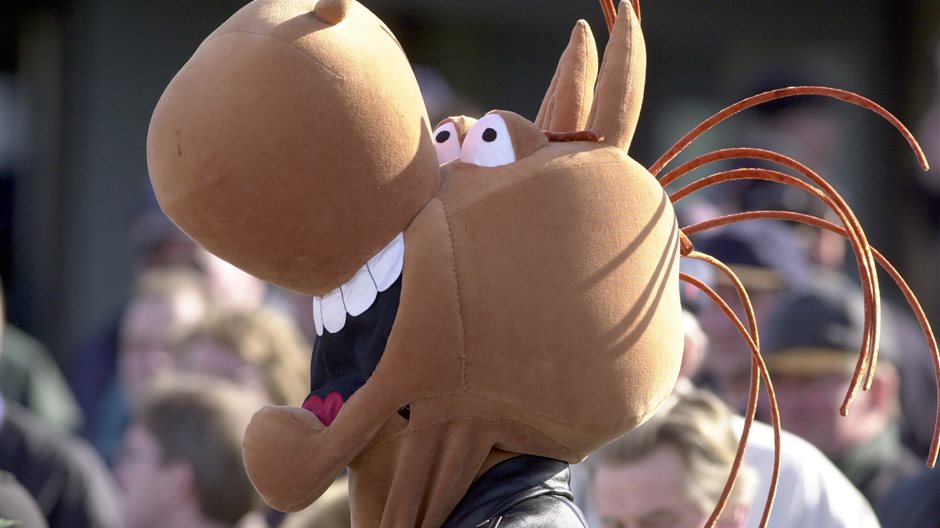 Harry Boy gick starkt på V75® | ATG