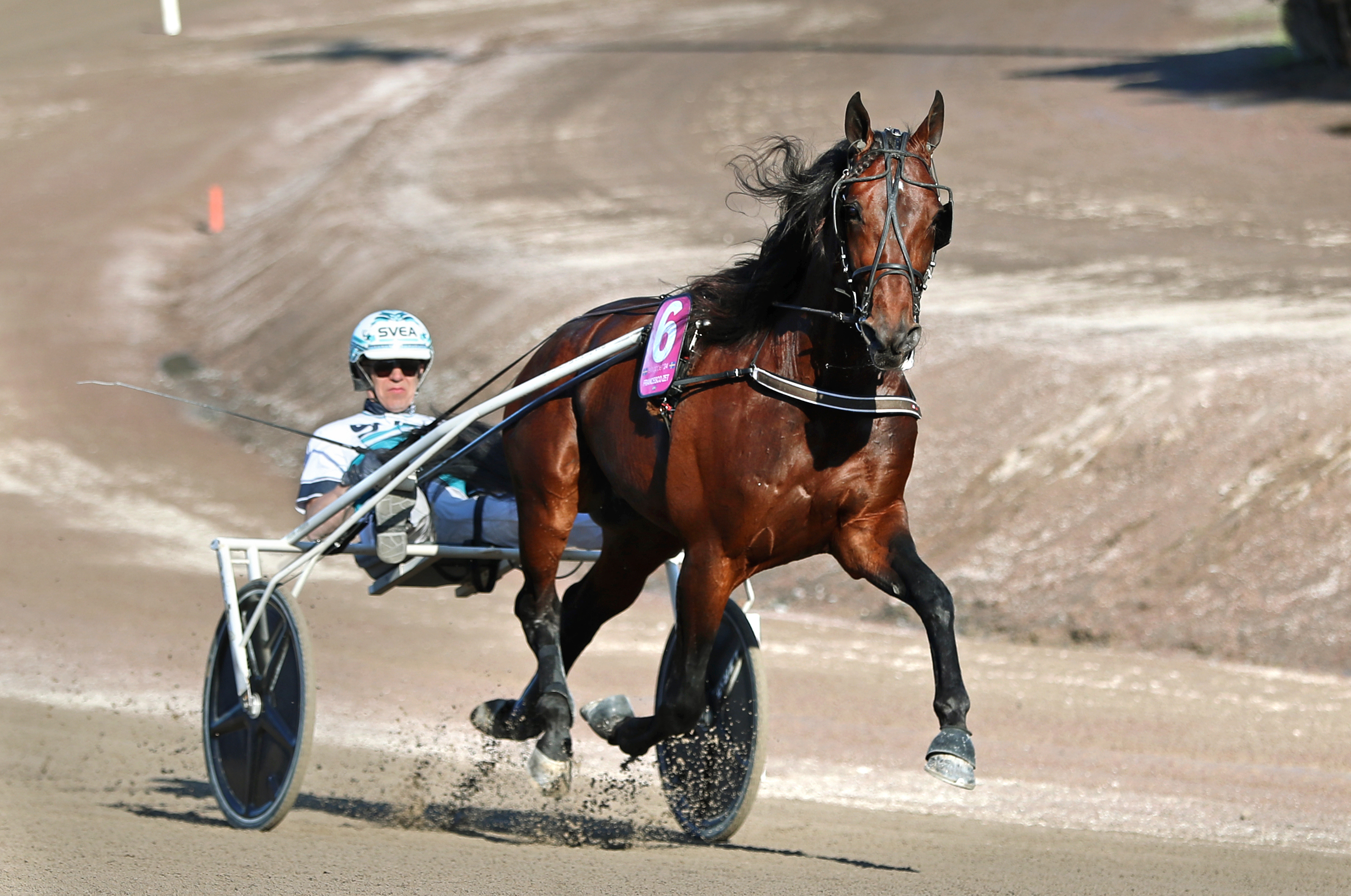 Redéns stjärna jagar revansch på annandagen | ATG