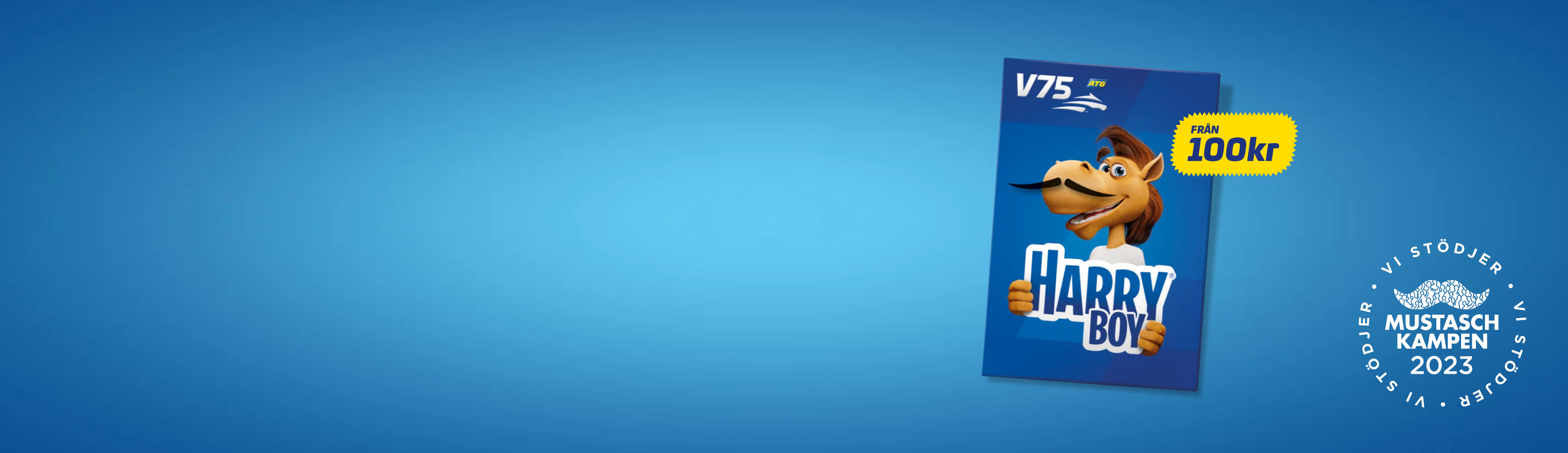 Harry Boy – Spela Harry | ATG