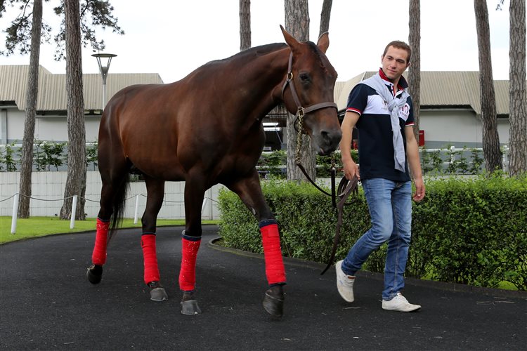 Ny storloppsseger för Bold Eagle | ATG