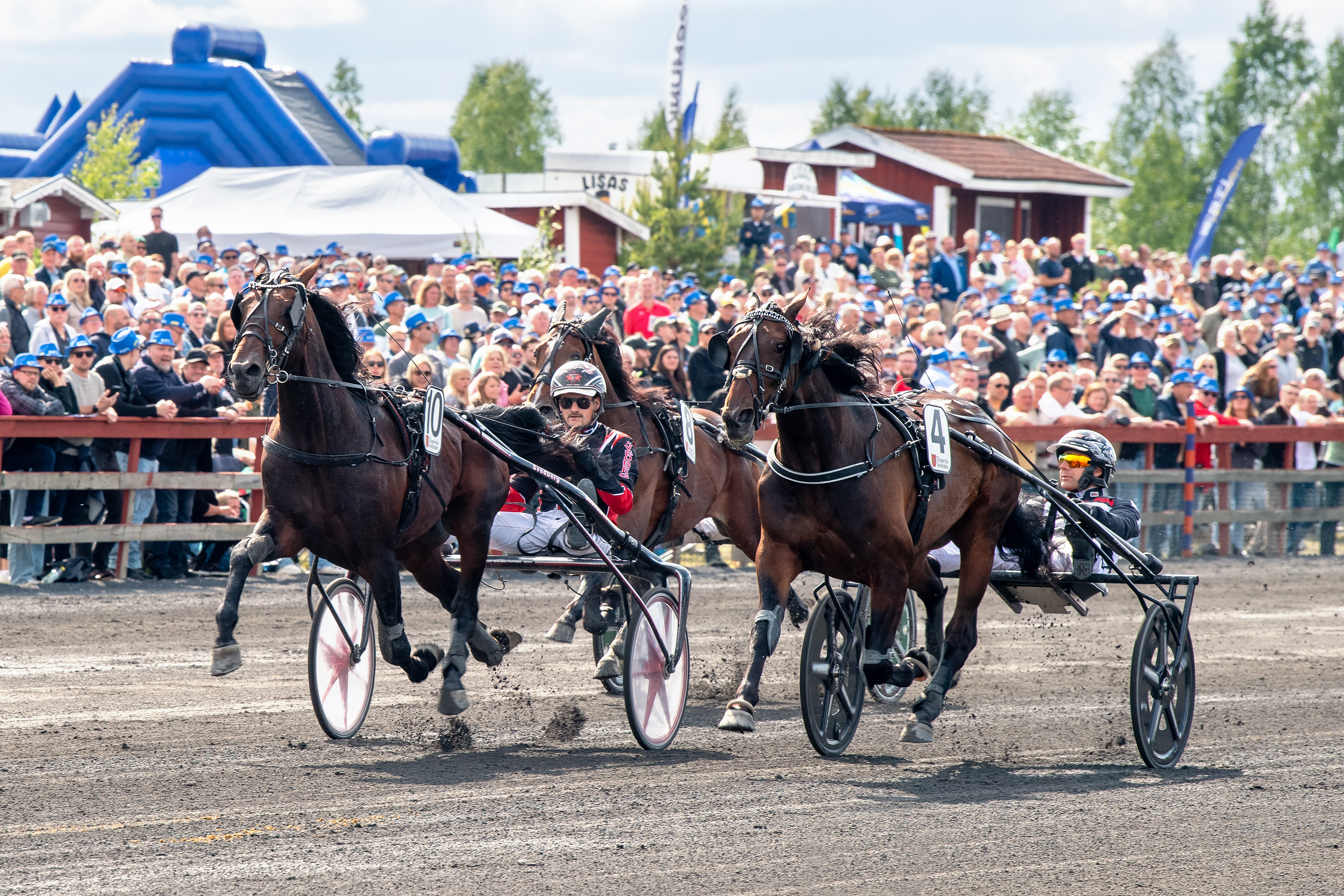 V75®: Ironic Man historisk vinnare i Tingsryd | ATG