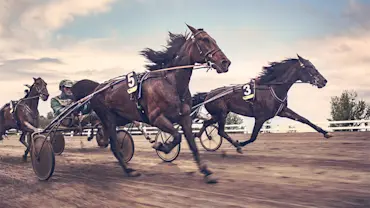 Sveriges största miljonspel blir ännu större – ATG® lanserar V85® i ...