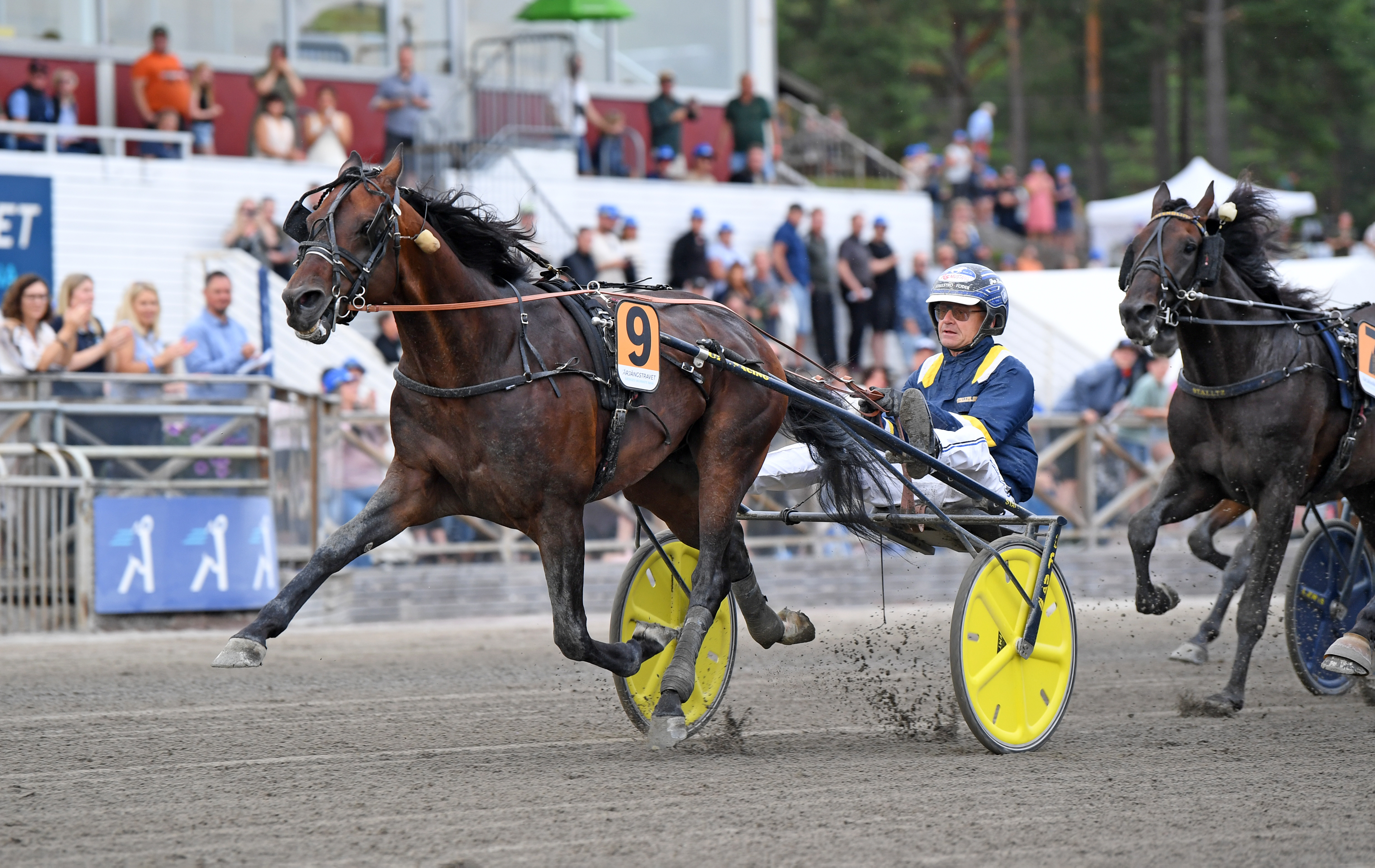 Click Bait mot världsstjärnor i Nationernas Pris | ATG