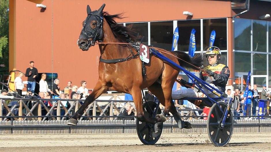 Inför V75®: Nya växlar på Hannibal Face | ATG