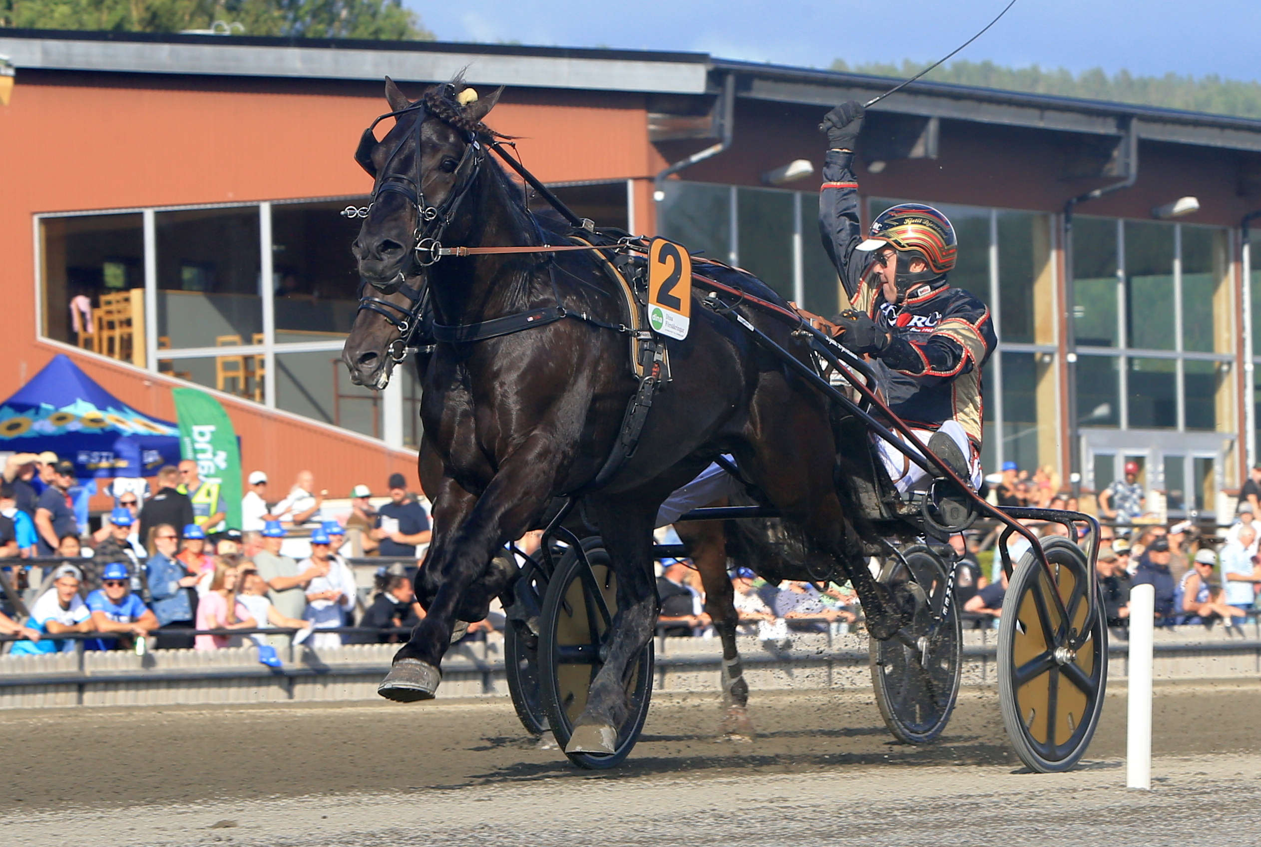 V75®: Norskt guld i kallblodskriteriet – Grude Nils gick inte att ...