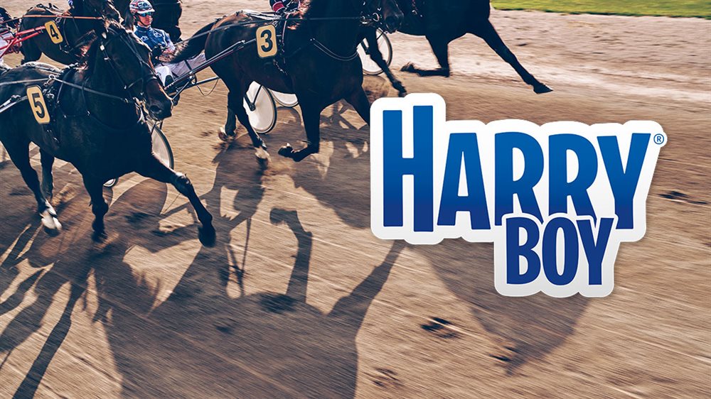 Harry Boy® tar inte semester | ATG