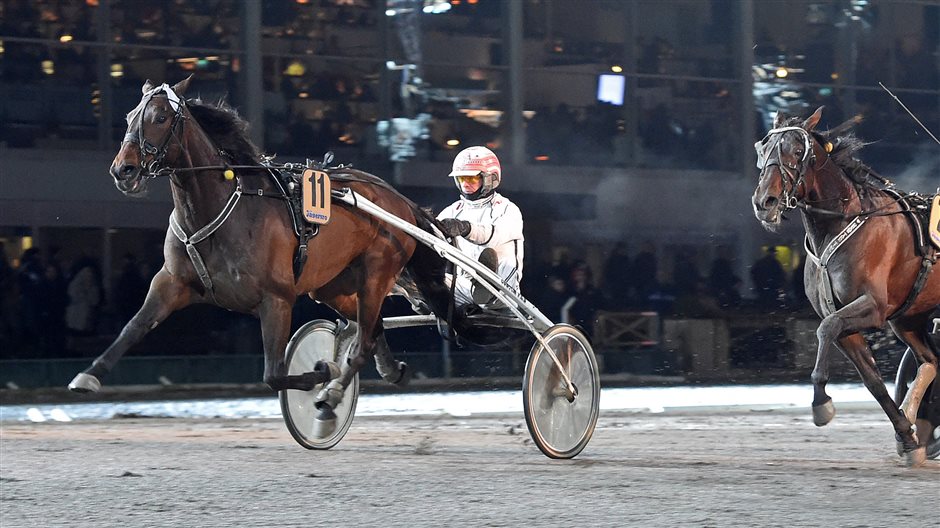 V75: Dansk dynamit briserade i guld | ATG