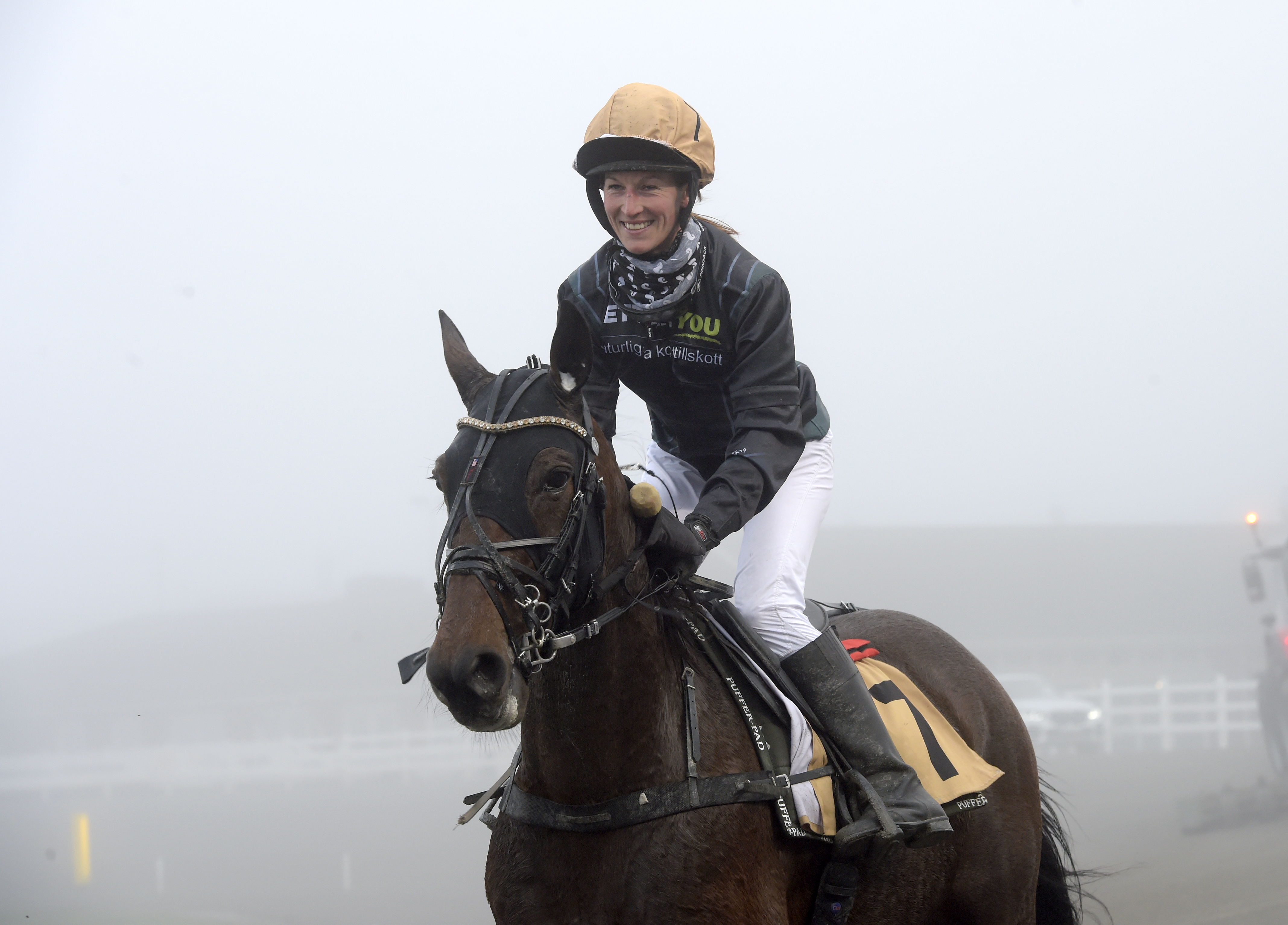 Stallsnack V4® & V5® Eskilstuna | ATG