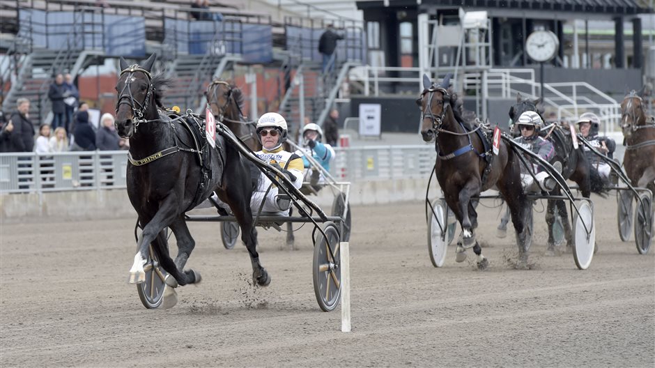 Inför V75® (fredag): Laddar för en rosa biljett | ATG