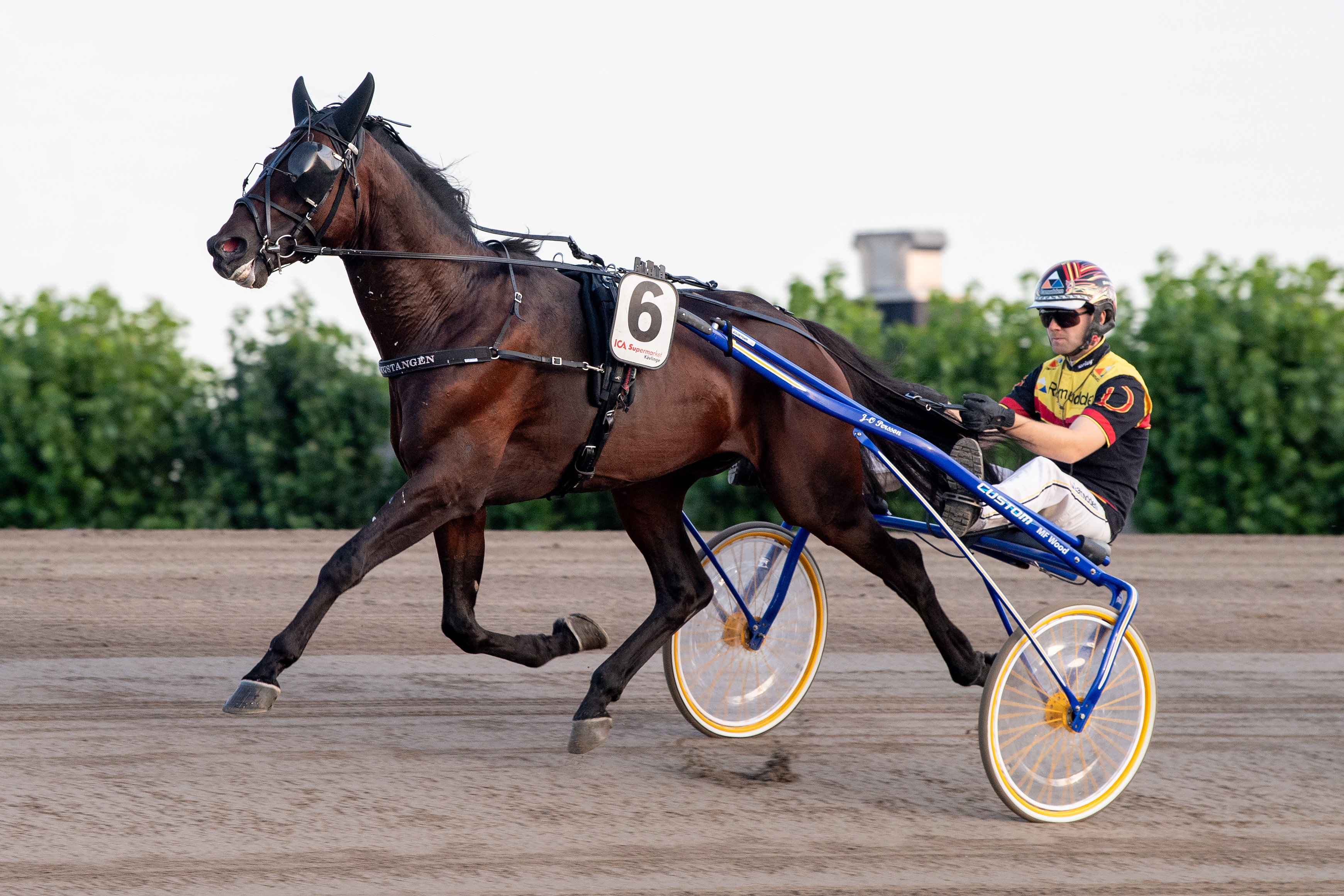 Inför V75® (jackpot): Ensam är stark | ATG