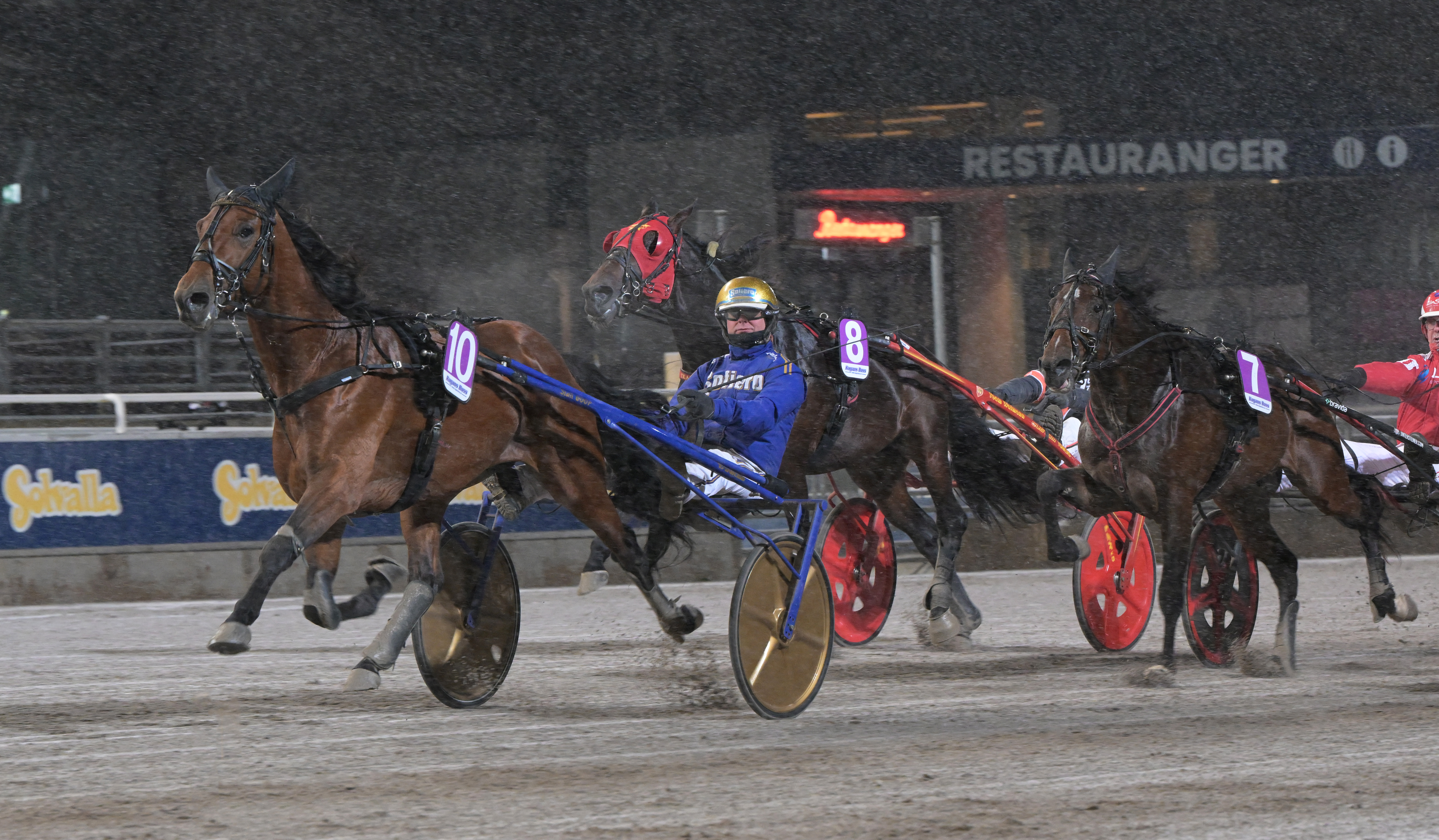 V86®: Revansch för Lion Express sedan nollprocentare sänkt favoriten | ATG