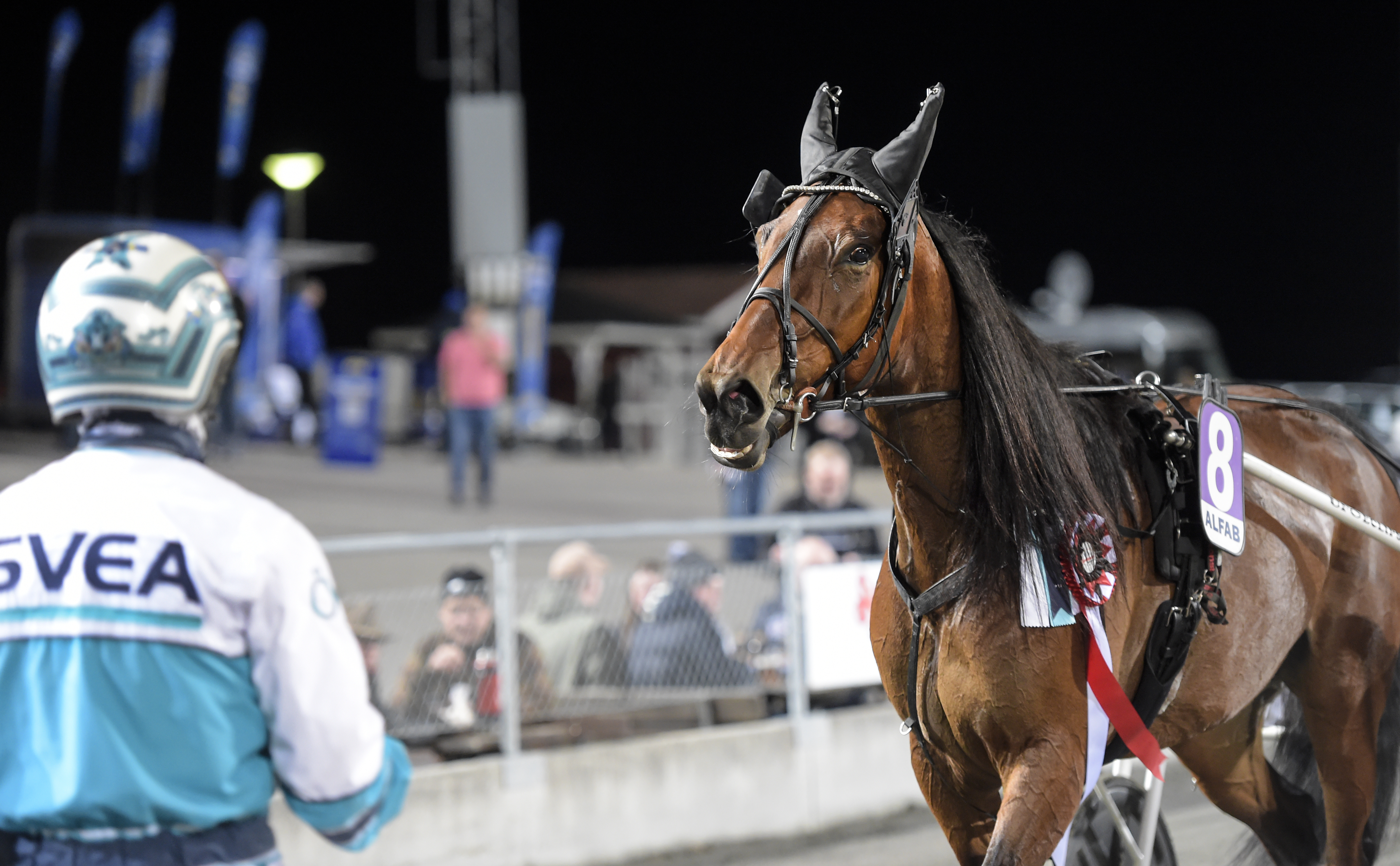 Inför V75®: Margareta Tooma börjar om: ”Hoppas hon får visa hur bra hon ...