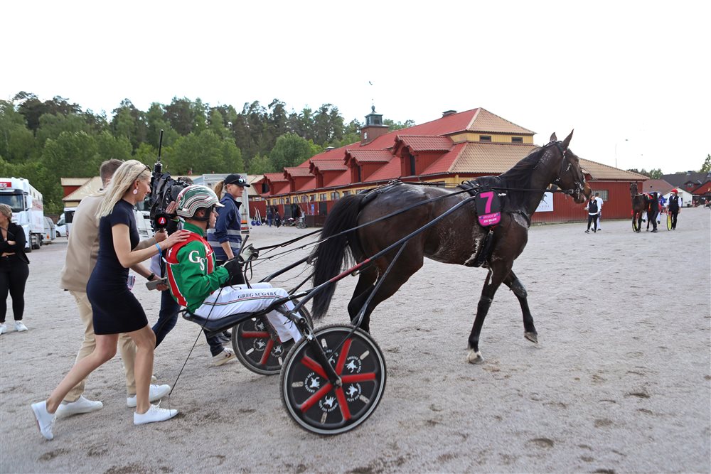 Inför V75® (jackpot): Harry från Australien på toppen av Europa | ATG